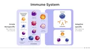Explore Our Immune System Presentation And Google Slides