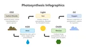Get This Photosynthesis Infographic PPT And Google Slides