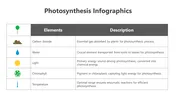 Get This Photosynthesis Infographic PPT And Google Slides