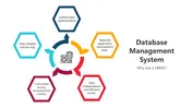 Get This Database Management System PPT And Google Slides