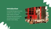 Explore Our Animal Health Management PPT And Google Slides