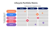 Get Our Lifecycle Portfolio Matrix PPT And Google Slides