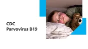 Infectious Disease PowerPoint Templates and Google Slides