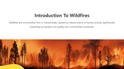Explore Our Wildfires PowerPoint And Canva Templates