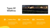Explore Our Wildfires PowerPoint And Canva Templates