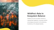 Explore Our Wildfires PowerPoint And Canva Templates