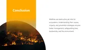 Explore Our Wildfires PowerPoint And Canva Templates