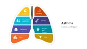 Explore Asthma PowerPoint And Google Slides Presentation