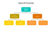 Types Of Immunity Google Slides And PowerPoint Templates