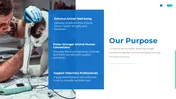 Veterinary Pharmaceutical Company Profile Google Slides