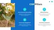 Veterinary Pharmaceutical Company Profile Google Slides