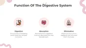 All About Digestion Lesson For Middle School Google Slides