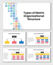 Matrix Structure Organizational Structure Presentation