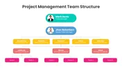 Project Management Team Structure PPT And Google Slides