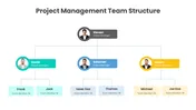 Project Management Team Structure PPT And Google Slides