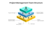 Project Management Team Structure PPT And Google Slides