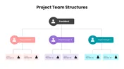 Download Our Project Team Structures PPT And Google Slides