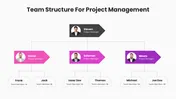 Best Team Structure For Project Management Presentation