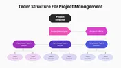 Best Team Structure For Project Management Presentation