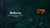 Get Our Nature Desktop Backgrounds PPT And Google Slides
