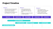 Download Our Project Plan PowerPoint And Google Slides