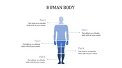 Human Stomach Anatomy PPT Presentation and Google Slides