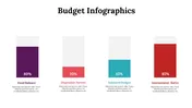 Get Ready to Use Budget Infographics PowerPoint Template