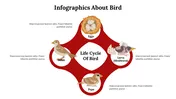 Birds PPT Presentation And Google Slides Templates