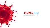 H2N3 Flu PowerPoint Presentation And Google Slides Themes