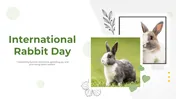 International Rabbit Day Presentation And Google Slides