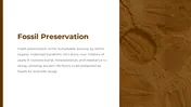 National Fossil Day Presentation And Google Slides Templates