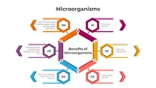 Get Microorganisms PowerPoint And Google Slides Templates