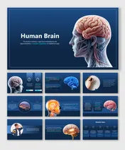 Get Our Human Brain Powerpoint And Google Slides Template