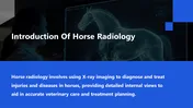 Ready To Get Horse Radiology PPT And Google Slides Template