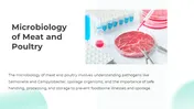 Explore Our Food Microbiology PPT And Canva Templates