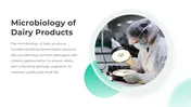 Explore Our Food Microbiology PPT And Canva Templates
