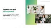 National Houseplant Appreciation Day PPT And Canva Template