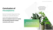 National Houseplant Appreciation Day PPT And Canva Template