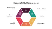 Sustainability Management PowerPoint And Canva Template