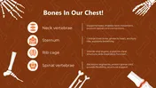 Biology Subject For Pre K Bones PPT And Canva Template