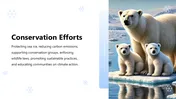 International Polar Bear Day PPT And Google Slides