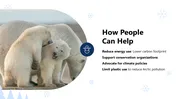 International Polar Bear Day PPT And Google Slides