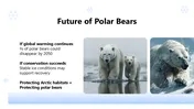 International Polar Bear Day PPT And Google Slides