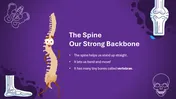 Biology Subject For Pre K Bones PPT And Google Slides