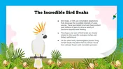 Get Now! Biology Activities For Middle School Birds Beaks
