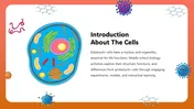 Biology Activities For Middle School Eukaryotic Cells PPT