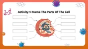 Biology Activities For Middle School Eukaryotic Cells PPT