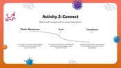 Biology Activities For Middle School Eukaryotic Cells PPT