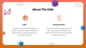 Biology Activities For Middle School Eukaryotic Cells PPT