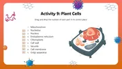 Biology Activities For Middle School Eukaryotic Cells PPT